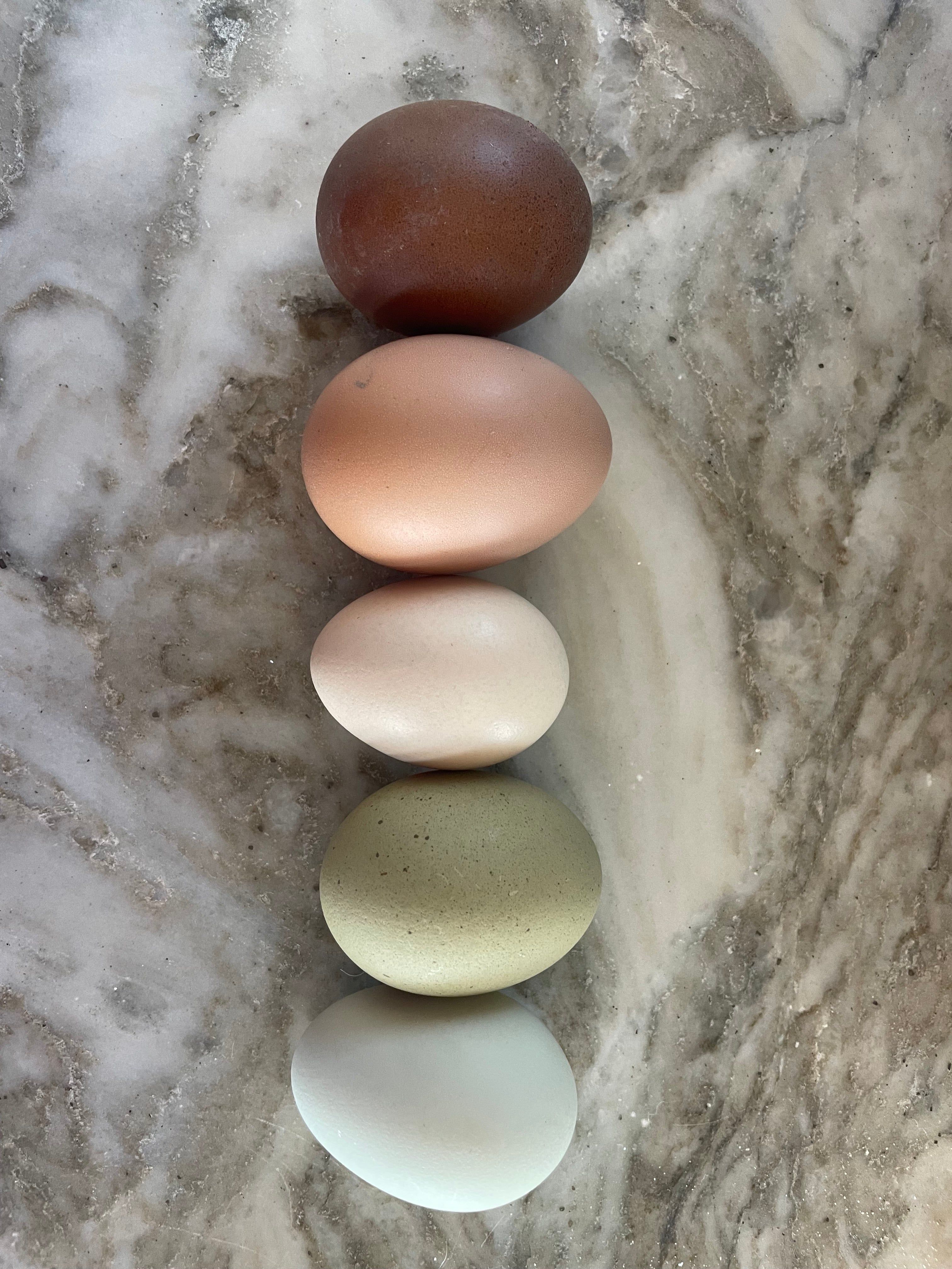 Eggs – Wanderment Farms